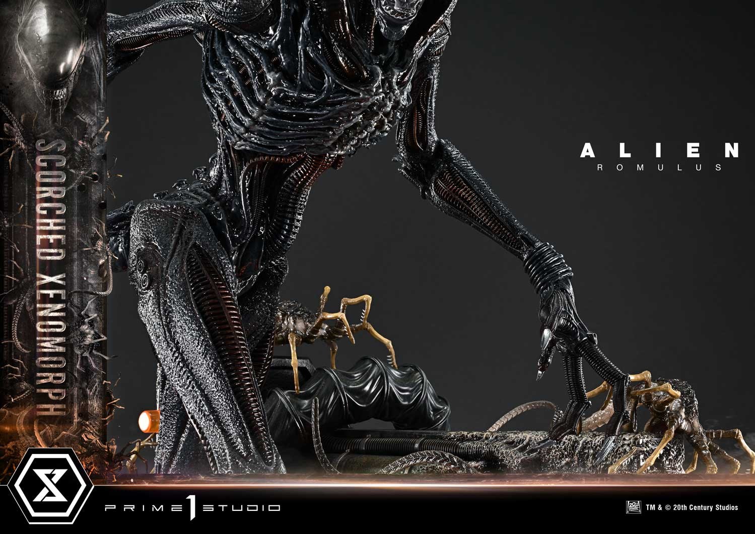 Scorched Xenomorph 1:3 Scale Statue by Prime 1 Studio | Sideshow ...