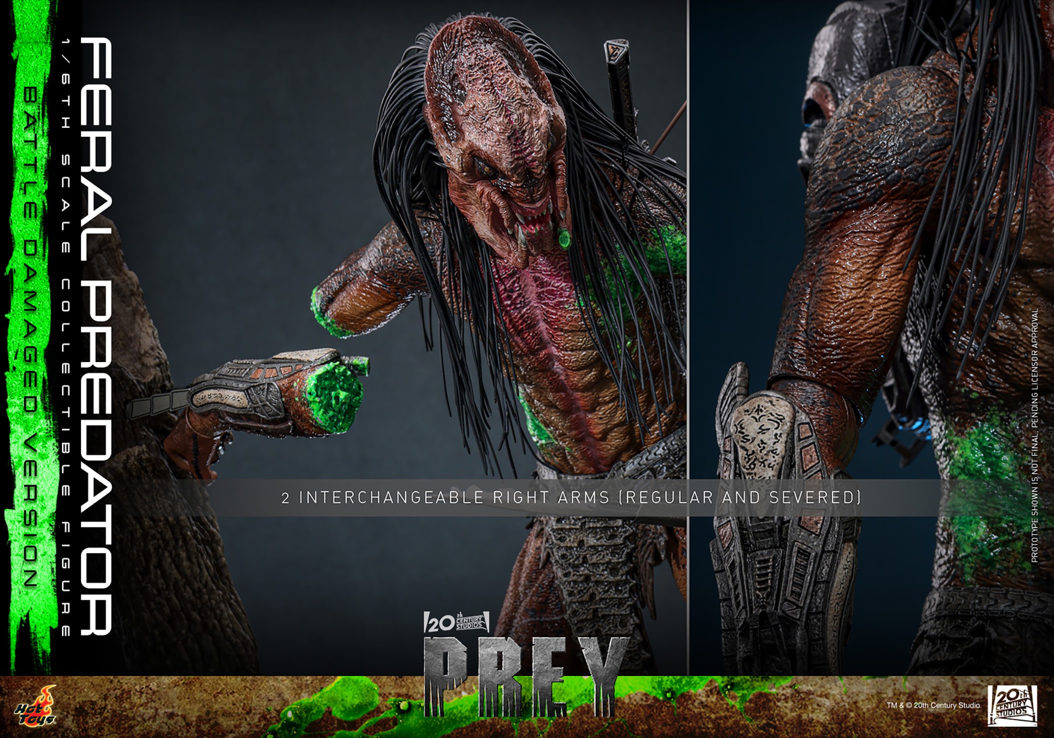 Feral Predator (Battle Damaged Version) Sixth Scale Figure by Hot Toys ...