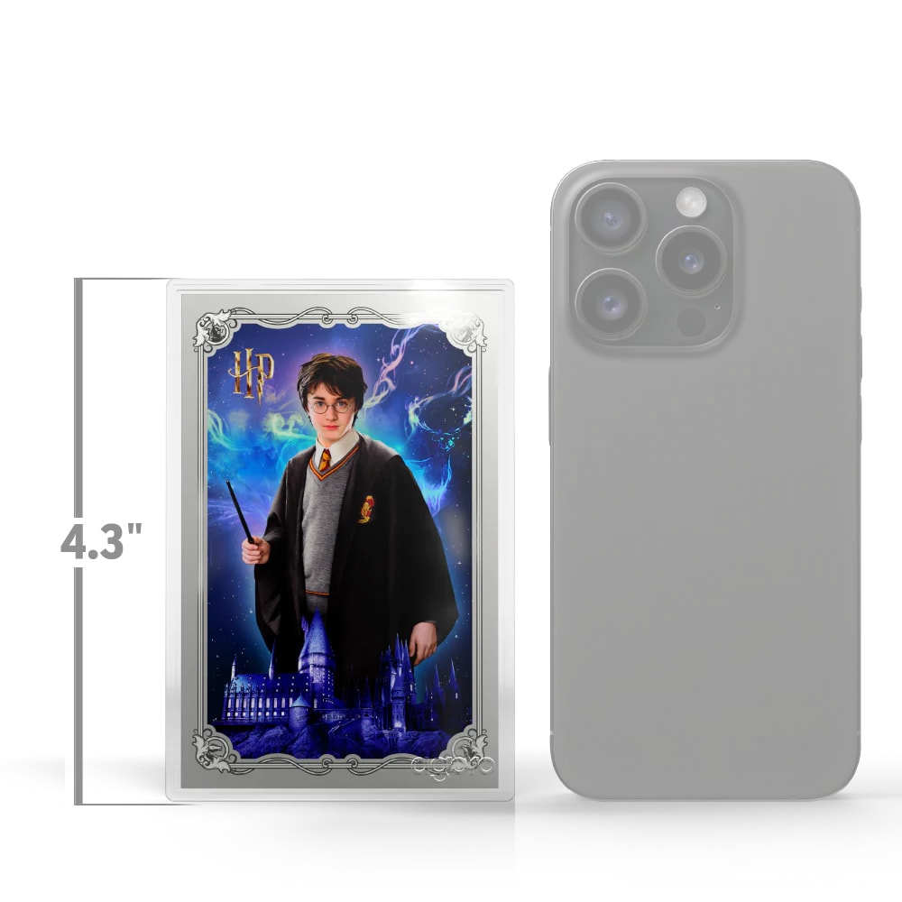 HARRY POTTER™ - 25 Years of Magic Blind Box Silver Collectible by Agoro ...