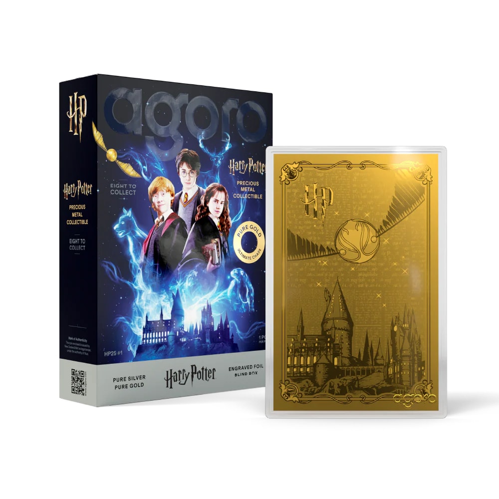 HARRY POTTER™ - 25 Years of Magic Blind Box Silver Collectible by Agoro ...