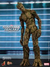 Marvel Groot Sixth Scale Figure by Hot Toys | Sideshow Collectibles