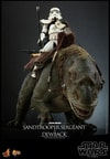 Sandtrooper Sergeant™ & Dewback™ Sixth Scale Figure Set by Hot Toys ...