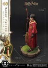 Harry Potter (Quidditch Edition) Statue by Prime 1 Studio | Sideshow ...