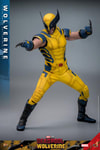 Wolverine (Deluxe Version) Sixth scale Figure by Hot Toys | Sideshow ...
