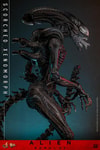 Scorched Xenomorph Sixth Scale Figure by Hot Toys | Sideshow Collectibles