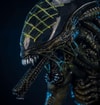 Grid Alien 1:2 Scale Statue by PCS | Sideshow Collectibles