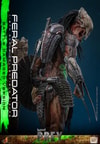 Feral Predator (Battle Damaged Version) Sixth Scale Figure by Hot Toys ...