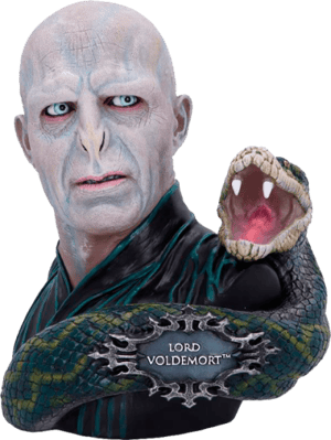 voldemort silver hand