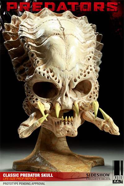 Classic Predator Skull Prop Replica | Sideshow Collectibles
