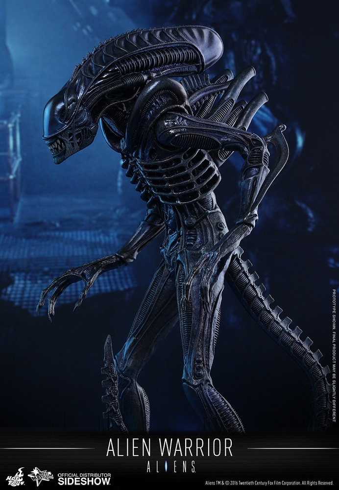 Aliens Alien Warrior Sixth Scale Figure by Hot Toys | Sideshow Collectibles