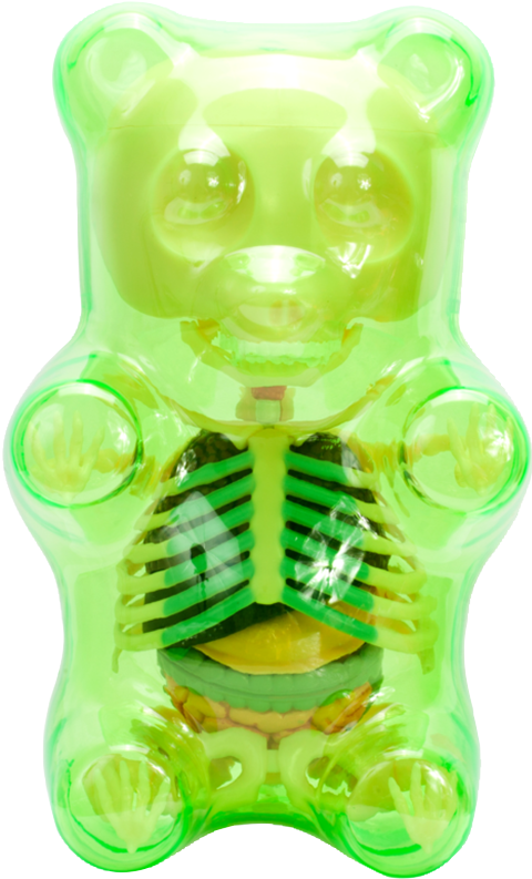 Gummi Bear Anatomy