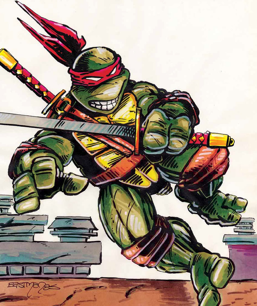 raphael ninja turtle artwork