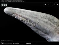 Alien: Covenant Neomorph Life-Size Head Prop Replica | Sideshow ...