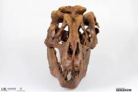 T-Rex Skull Quarter Scale Replica | Sideshow Collectibles