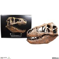 T-Rex Skull Quarter Scale Replica | Sideshow Collectibles