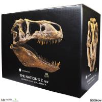 T-Rex Skull Quarter Scale Replica | Sideshow Collectibles